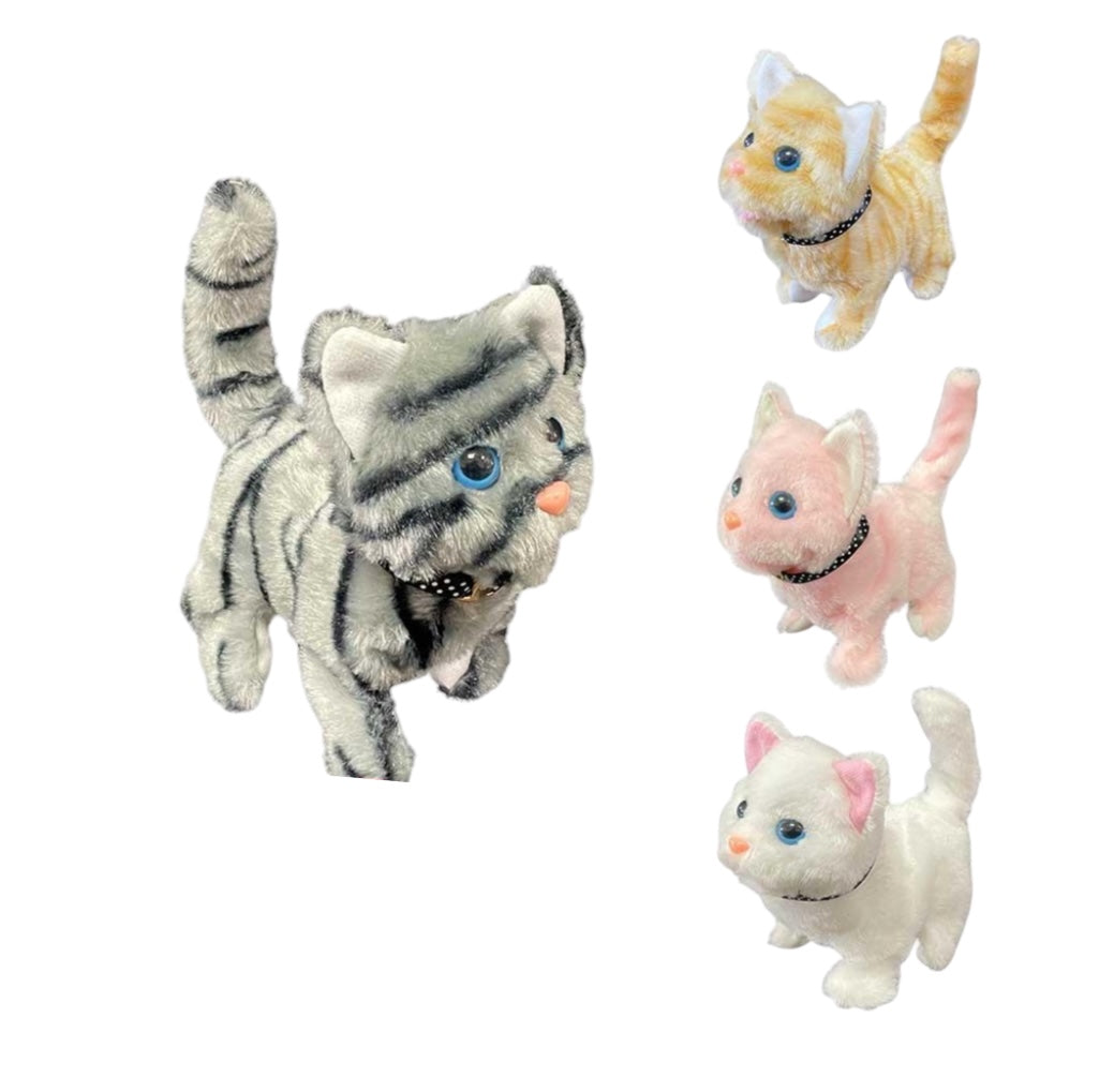 12CT Electric Cat TD-035